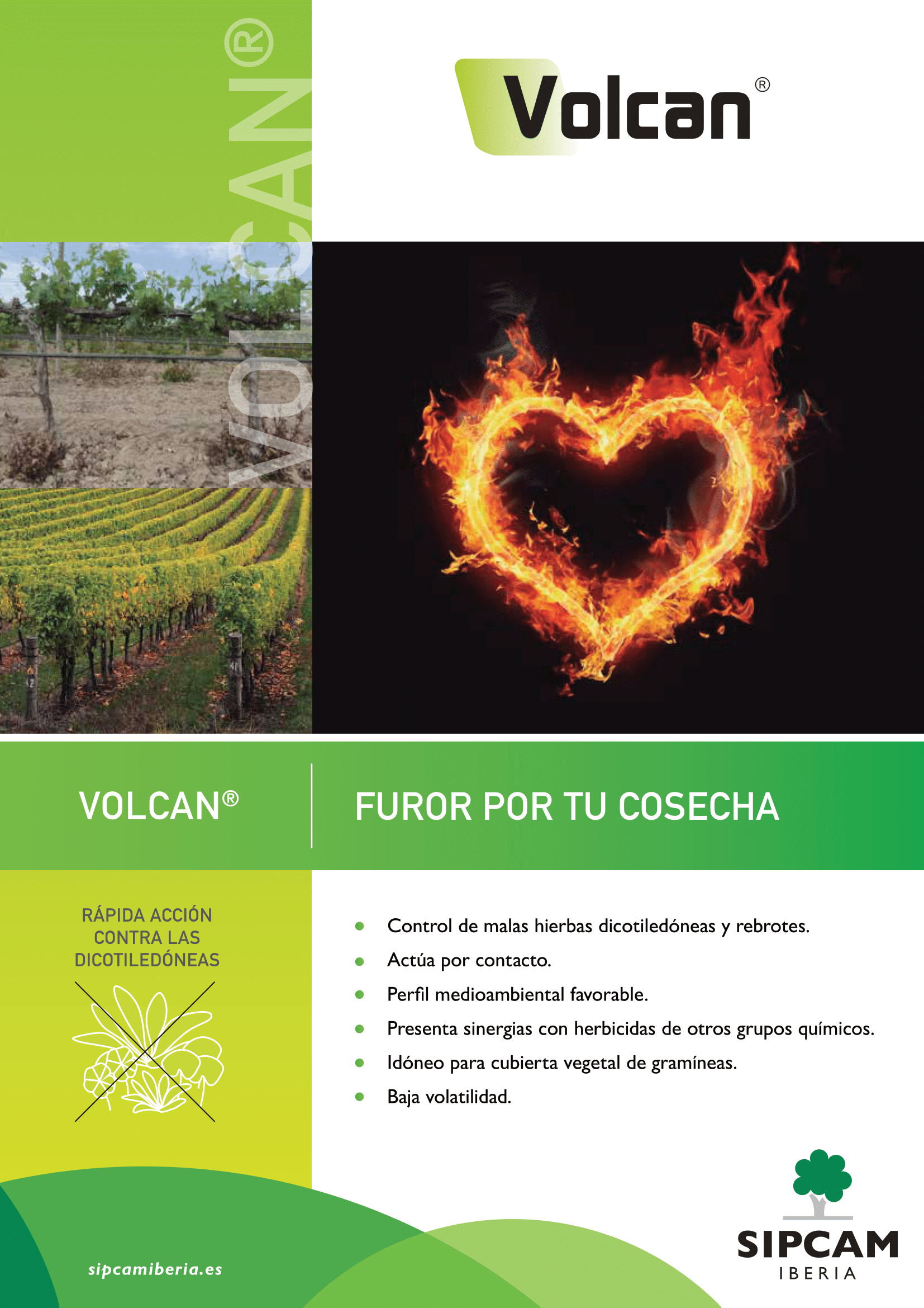 Catálogo SIPCAM 2020